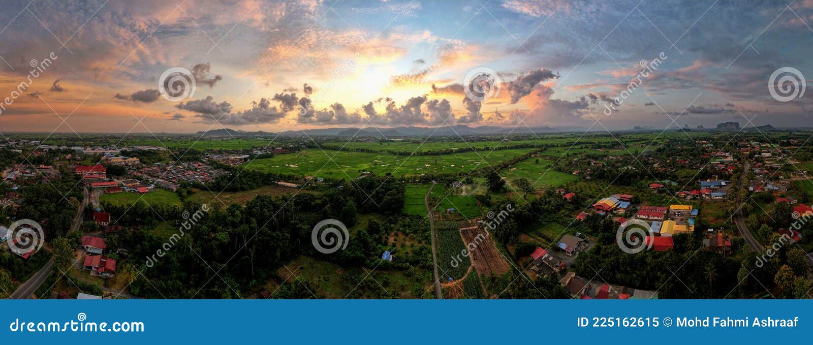 A Beautiful Village in Paddy Field Stock Image - Image of tree, field ...