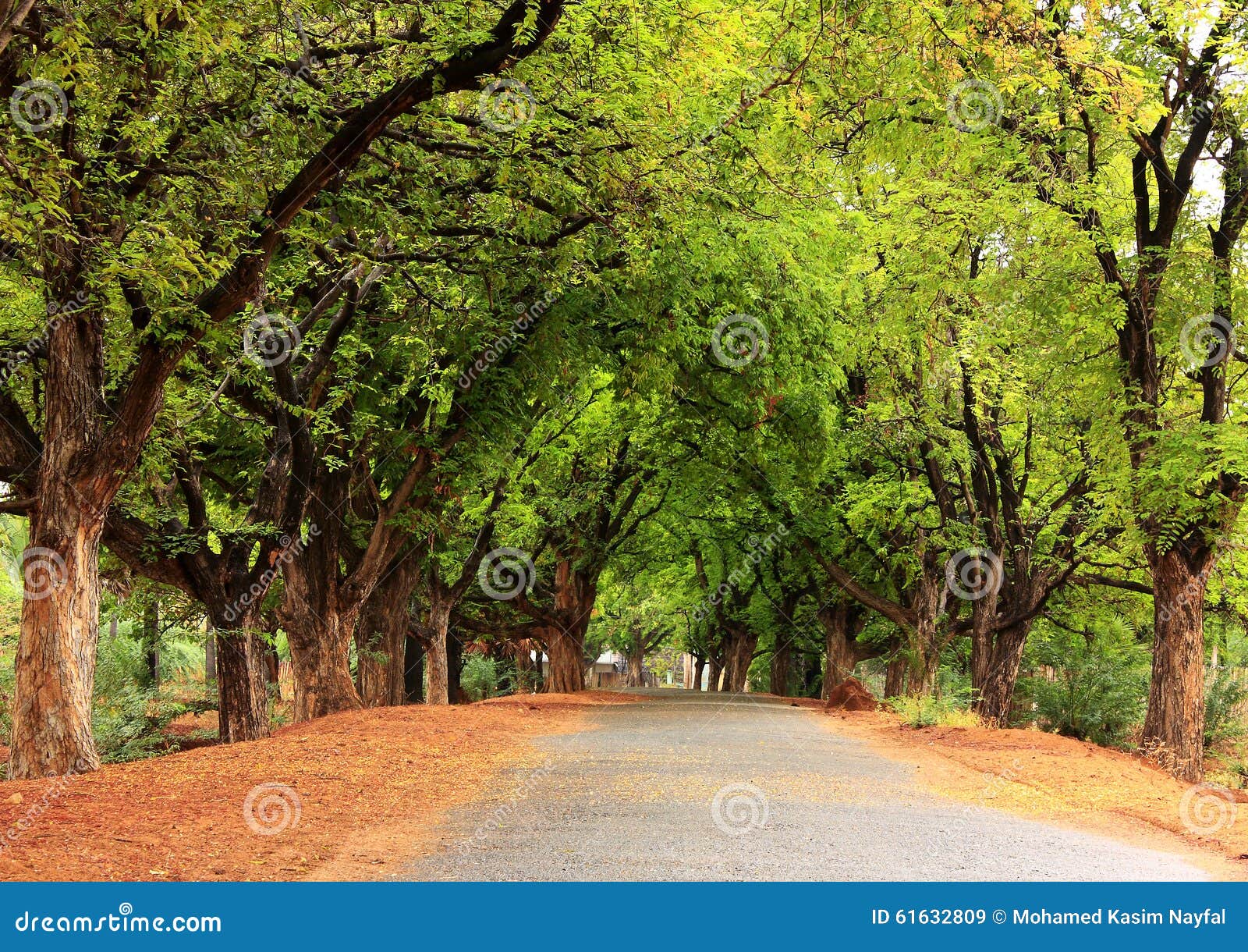 Beautiful Village Road in India Stock Image - Image of vannangundu ...