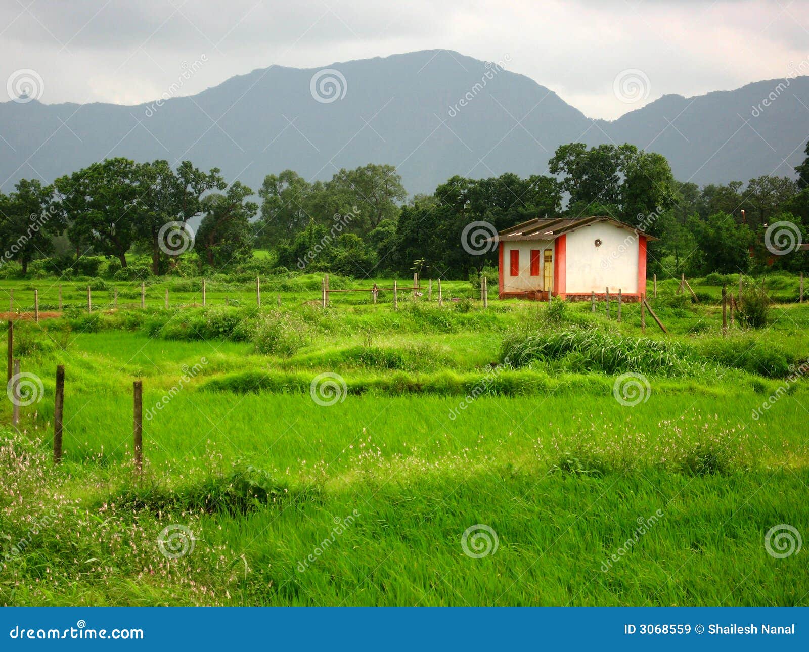 Beautiful Village Scene stock image. Image of scene, farm - 3068559