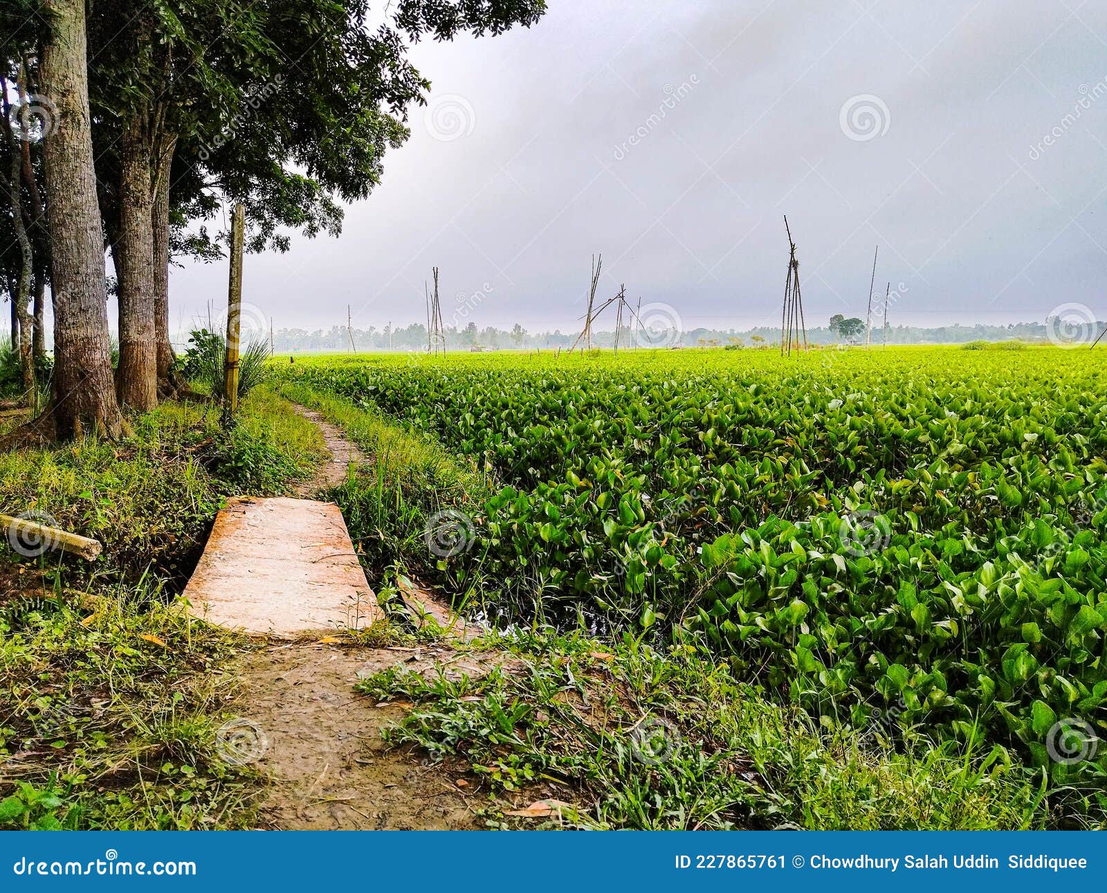 A Beautiful Village Walking Path Stock Image - Image of beautiful ...