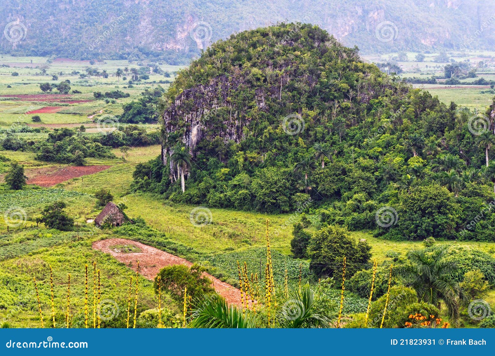 The Beautiful Vinales Valley Stock Image - Image of landscape, mountain ...