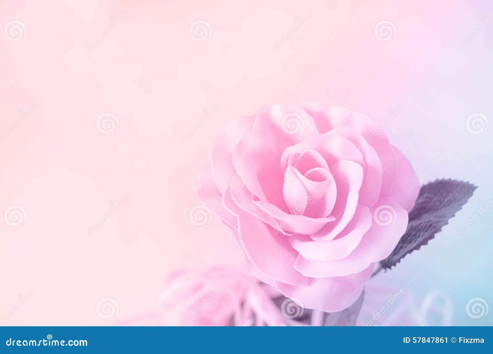 Beautiful Vintage Background - Pink Pastel Rose Stock Image - Image of ...