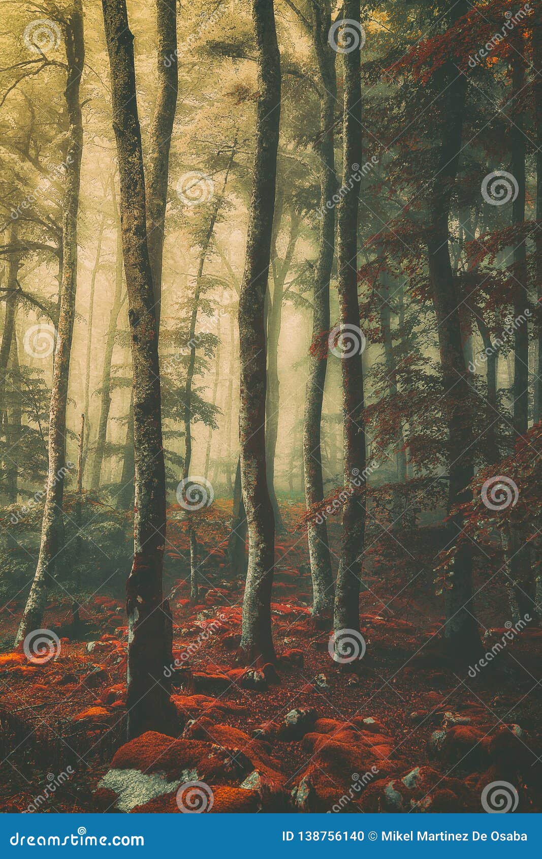 Vintage Forest.Background.Wallpaper Royalty-Free Stock Photography ...