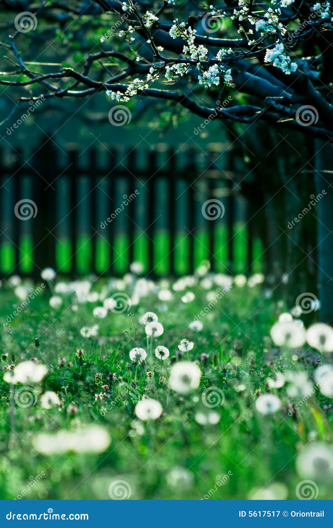Beautiful Vintage Spring Time Scene Stock Image - Image of meadow ...