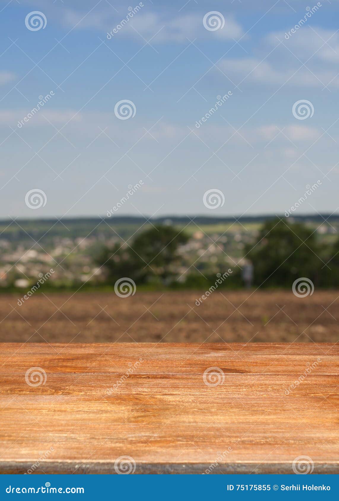 Beautiful Vintage Table on the Background of the Landscape. Stock Image ...
