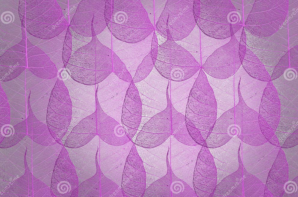 Beautiful Violet Pattern of Veins Stock Image - Image of silhouette ...