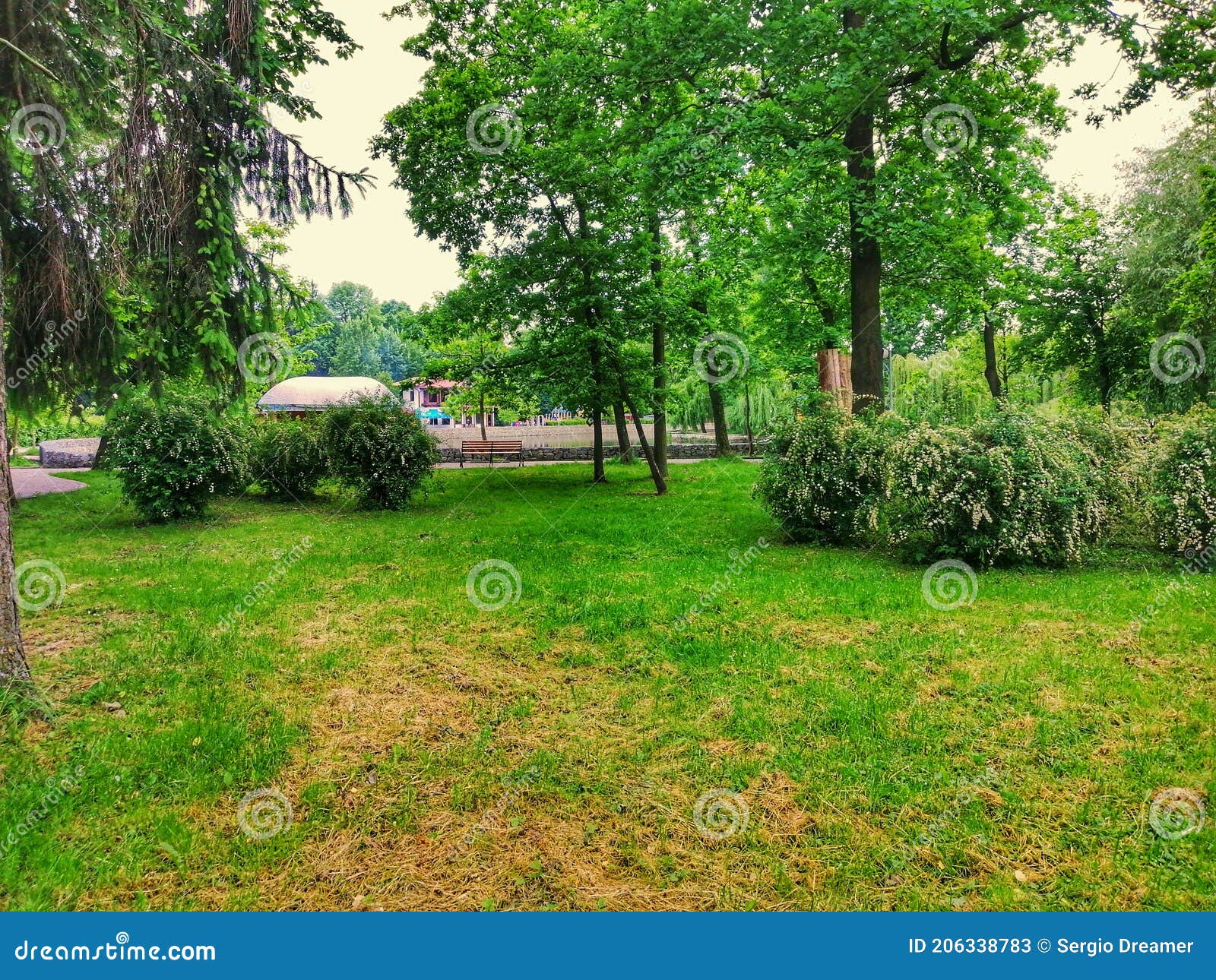 Beautiful Walk on Nature in the Park. Stock Image - Image of leaf, park ...