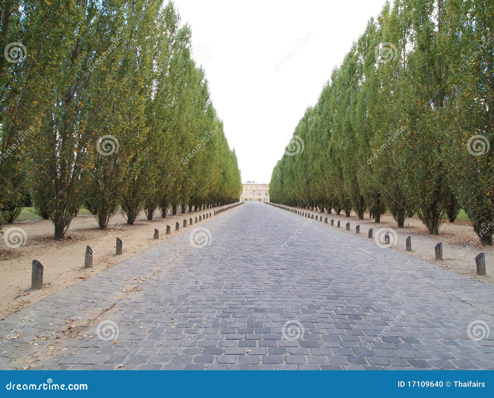 Beautiful Walk Way with Tree and Stone Road Stock Photo - Image of leaf ...