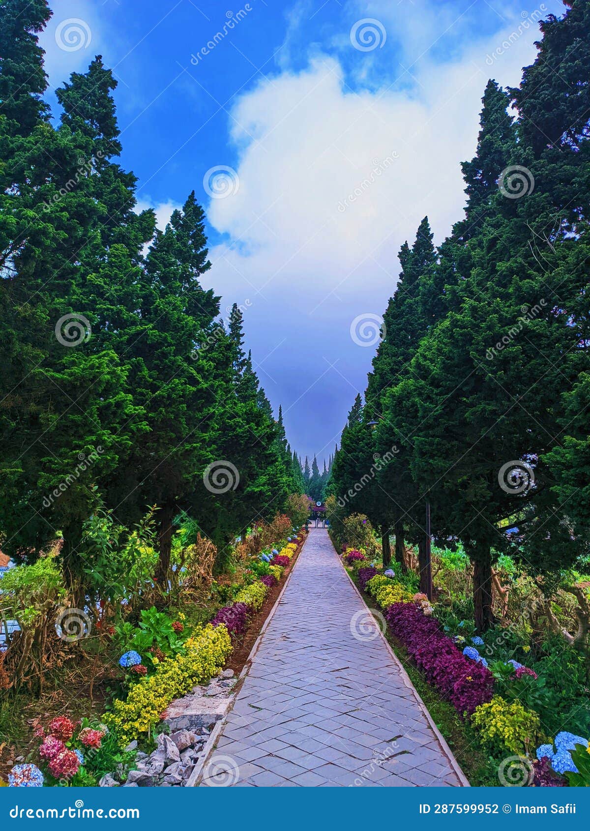 Beautiful walking path stock photo. Image of forest - 287599952