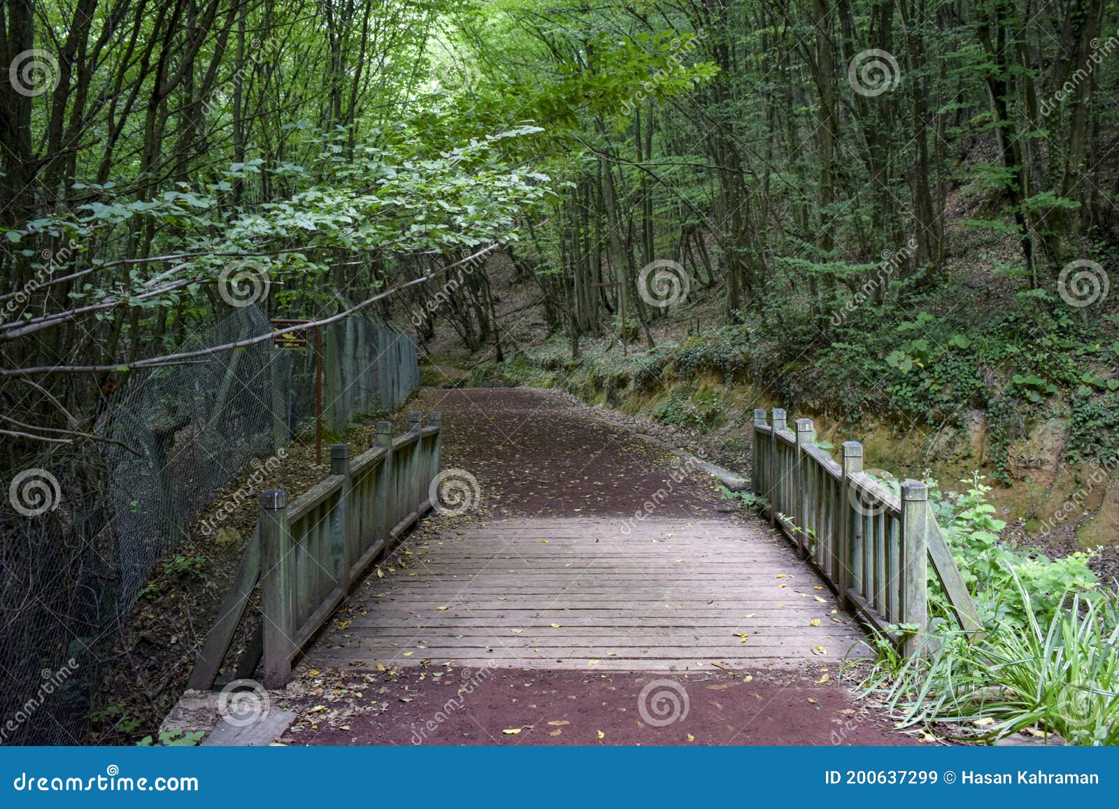 Beautiful Walking Path in the Forest Stock Image - Image of house2 ...