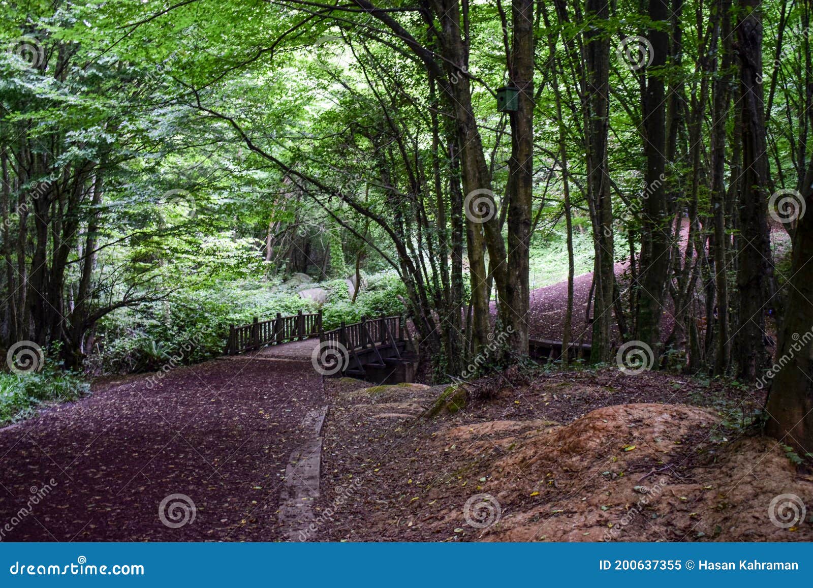 Beautiful Walking Path Through The Moor Of Lago Combal Under The ...