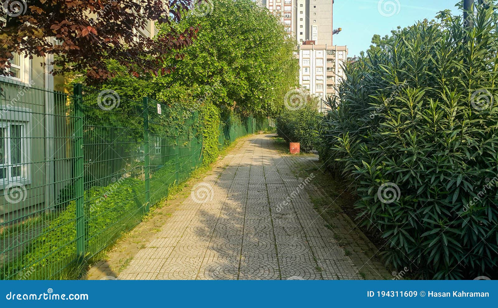 A Beautiful Walking Path in the Green Stock Image - Image of buildingsn ...