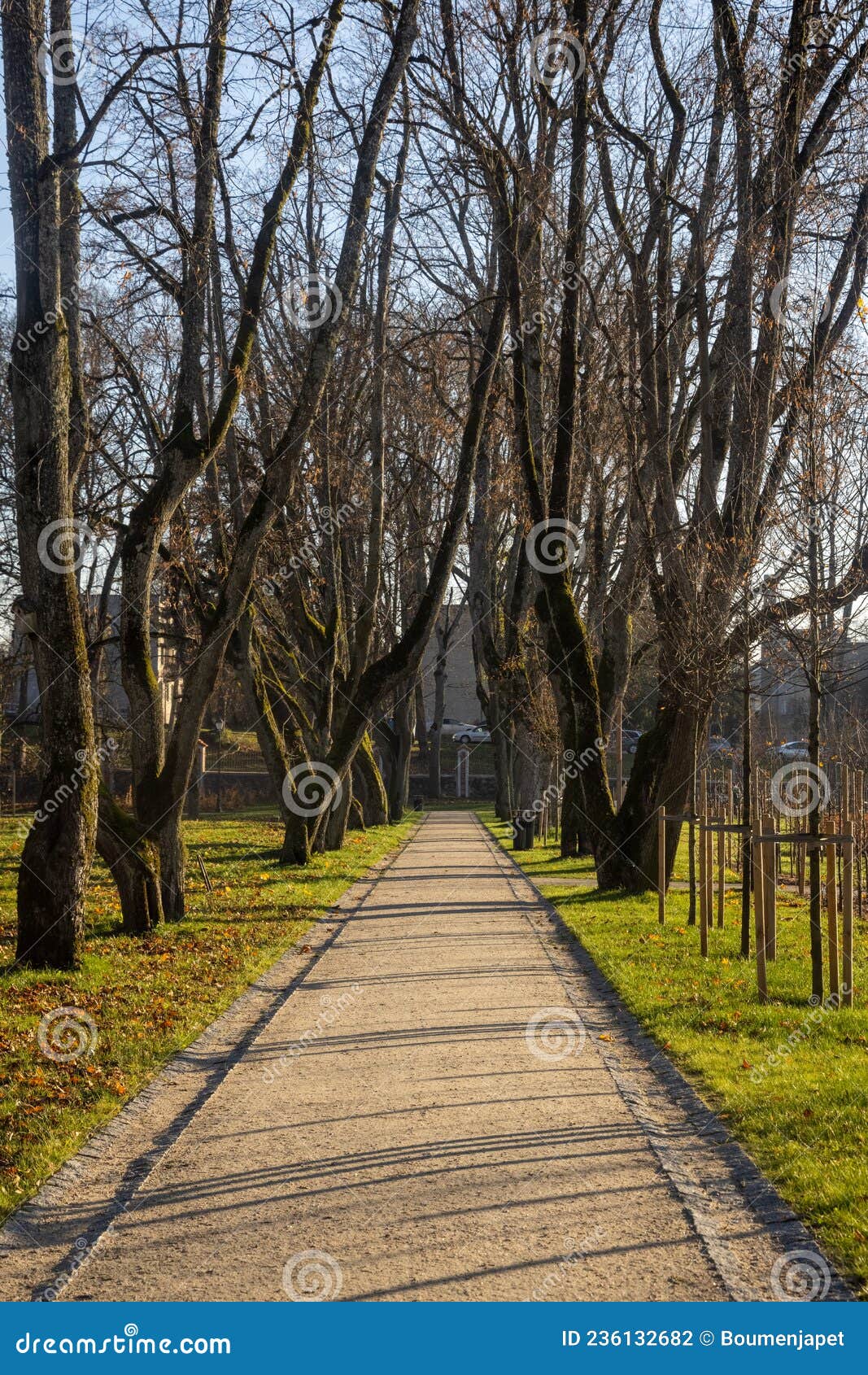 Beautiful Walking Path in a Park on a Sunny Autumn Day with Bare Trees ...