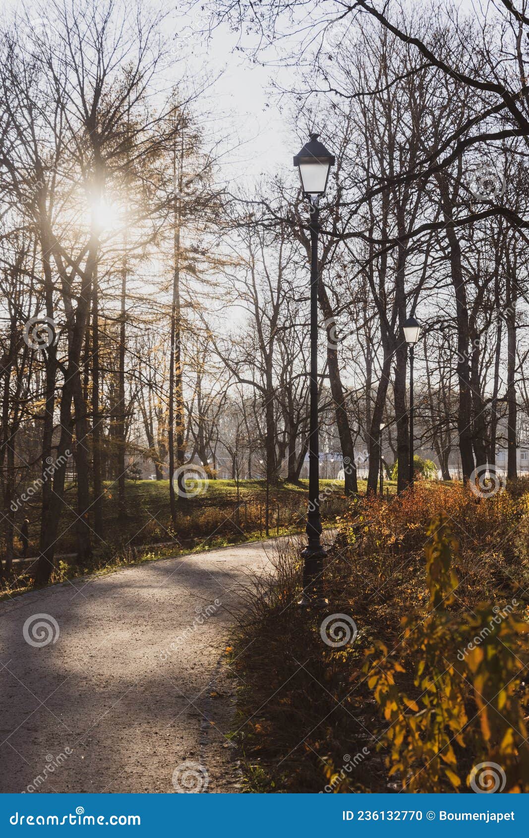 Beautiful Walking Path in a Park on a Sunny Autumn Day with Bare Trees ...