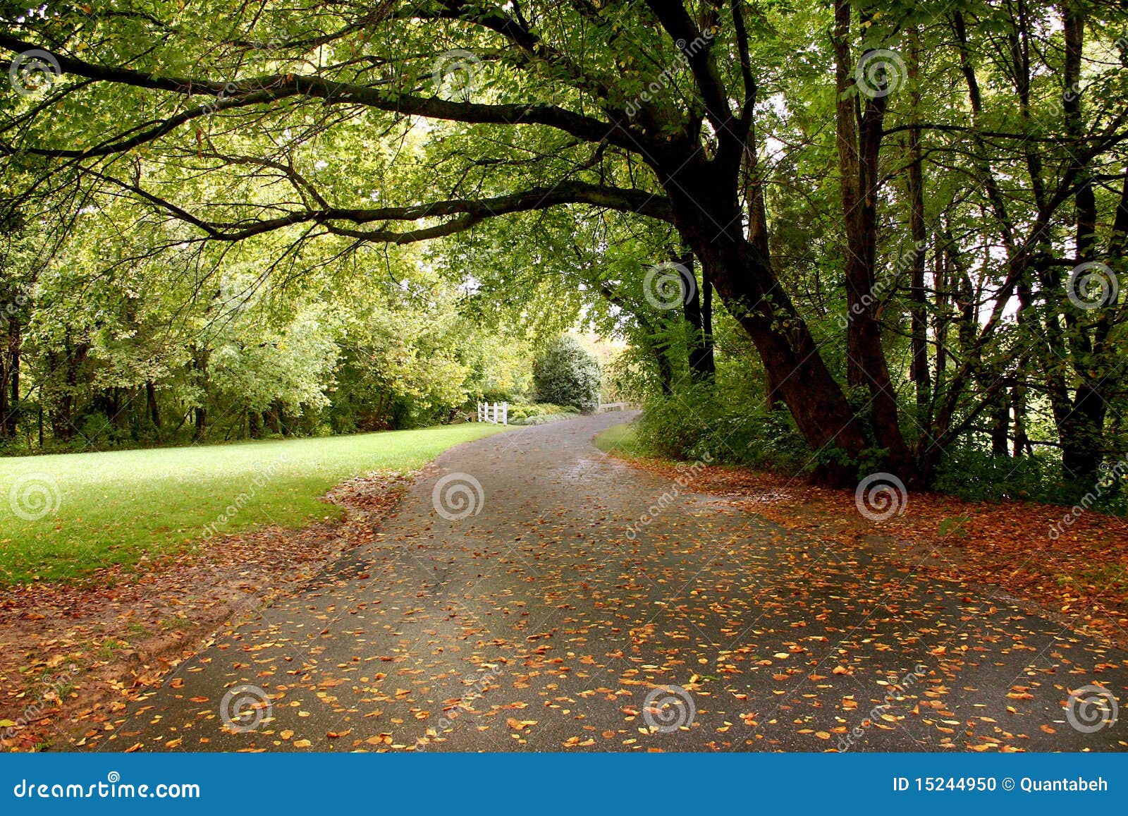 A beautiful walking trail stock photo. Image of maryland - 15244950