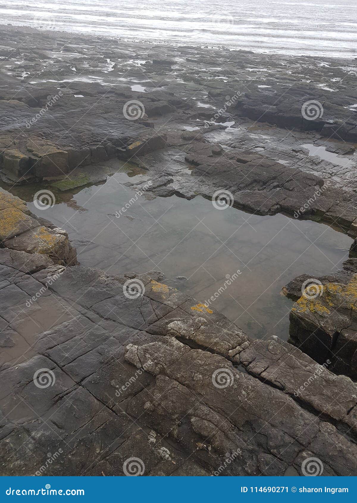 Bendricks stock image. Image of beautiful, beach, local - 114690271
