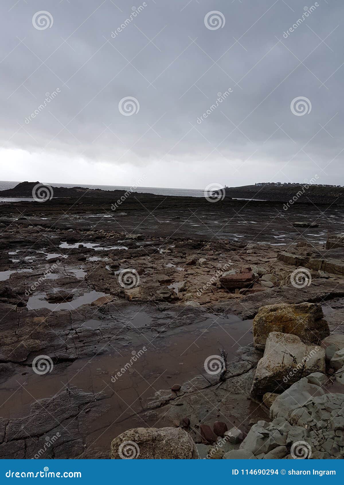 Bendricks stock photo. Image of bendricks, local, beautiful - 114690294