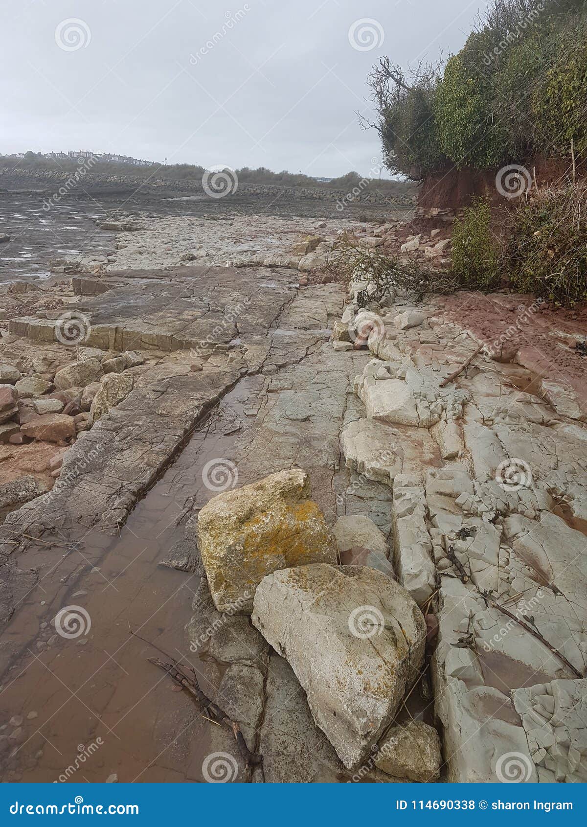 Bendricks stock photo. Image of walks, back, like, time - 114690338