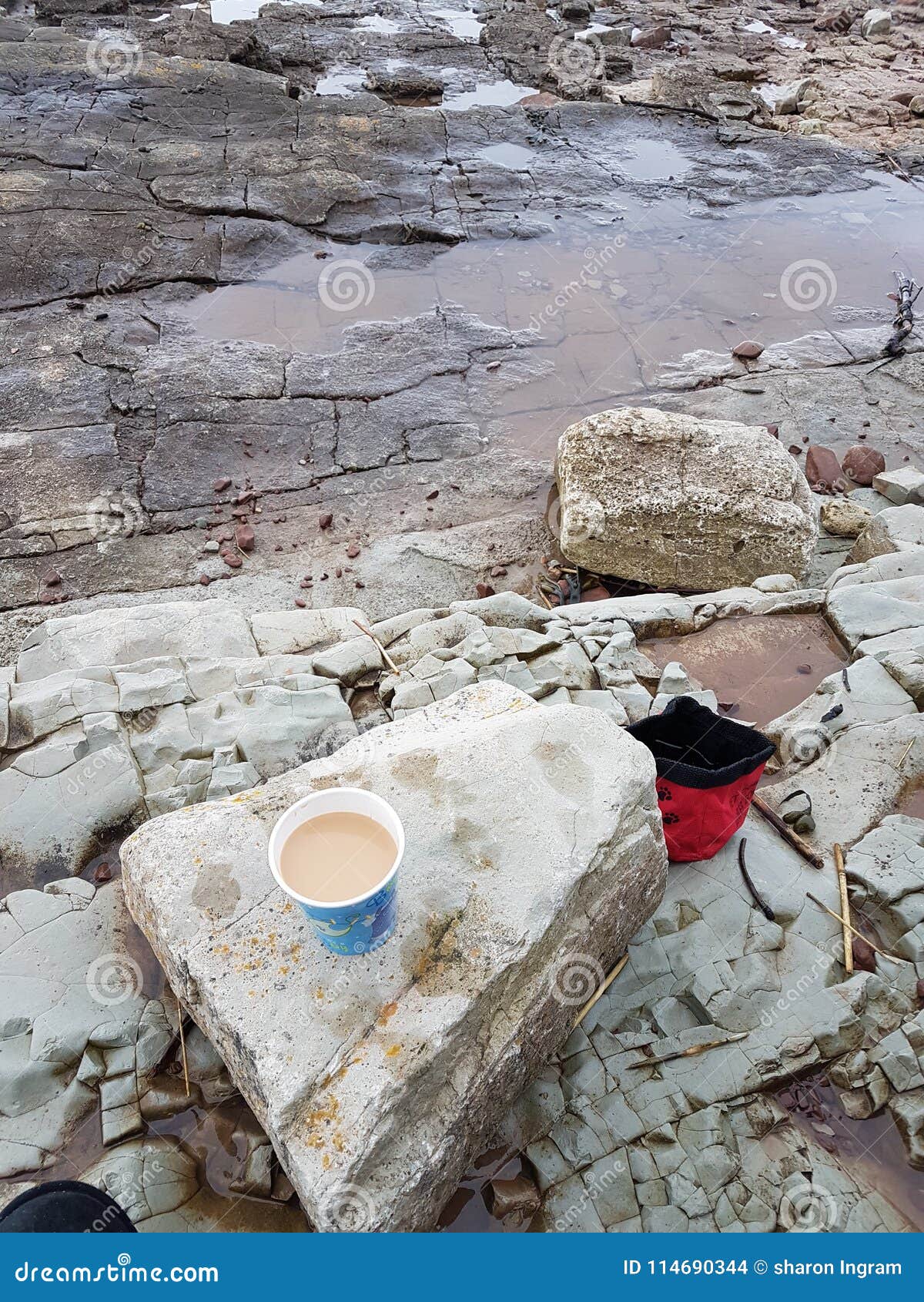 Bendricks stock photo. Image of back, walks, beach, local - 114690344