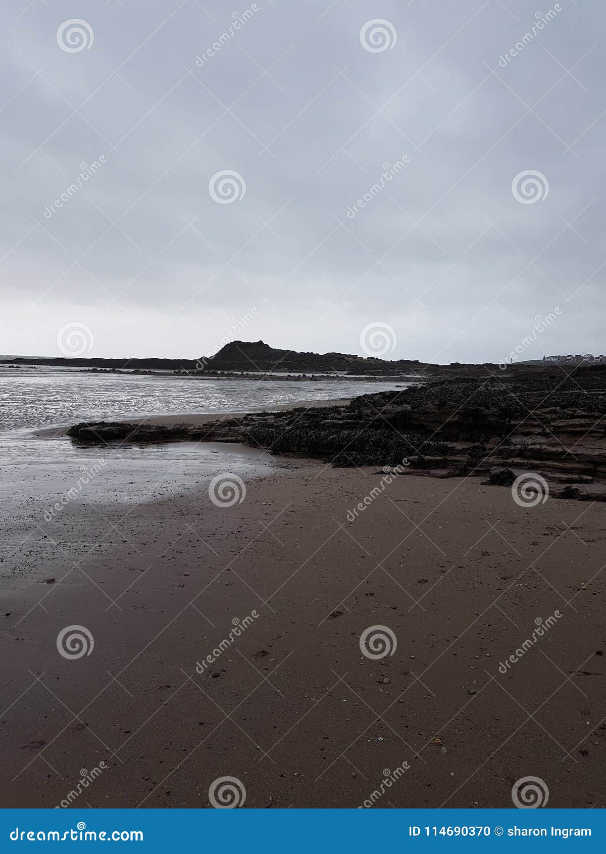 Bendricks stock photo. Image of like, beautiful, bendricks - 114690370