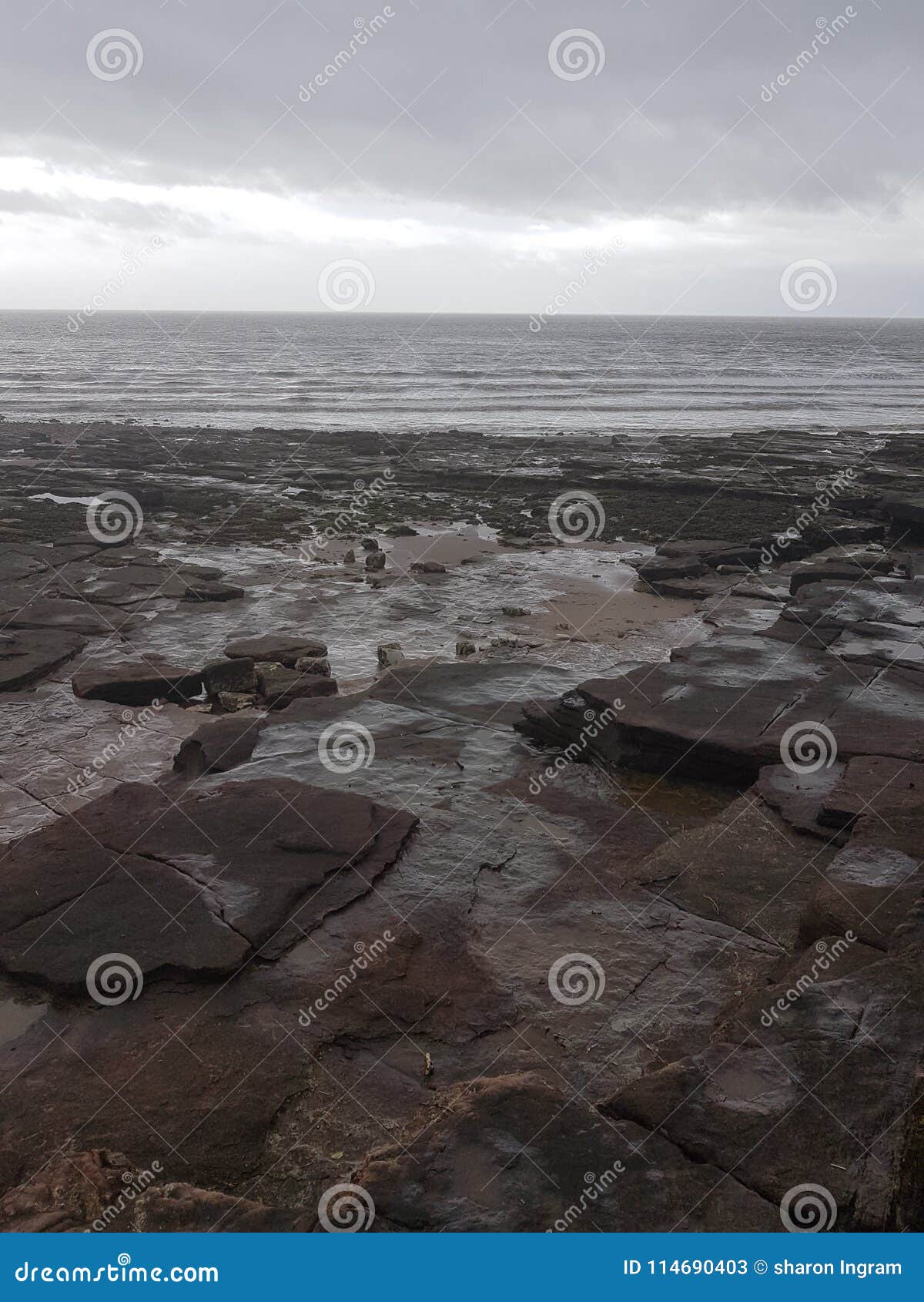 Bendricks stock image. Image of walks, bendricks, beach - 114690403