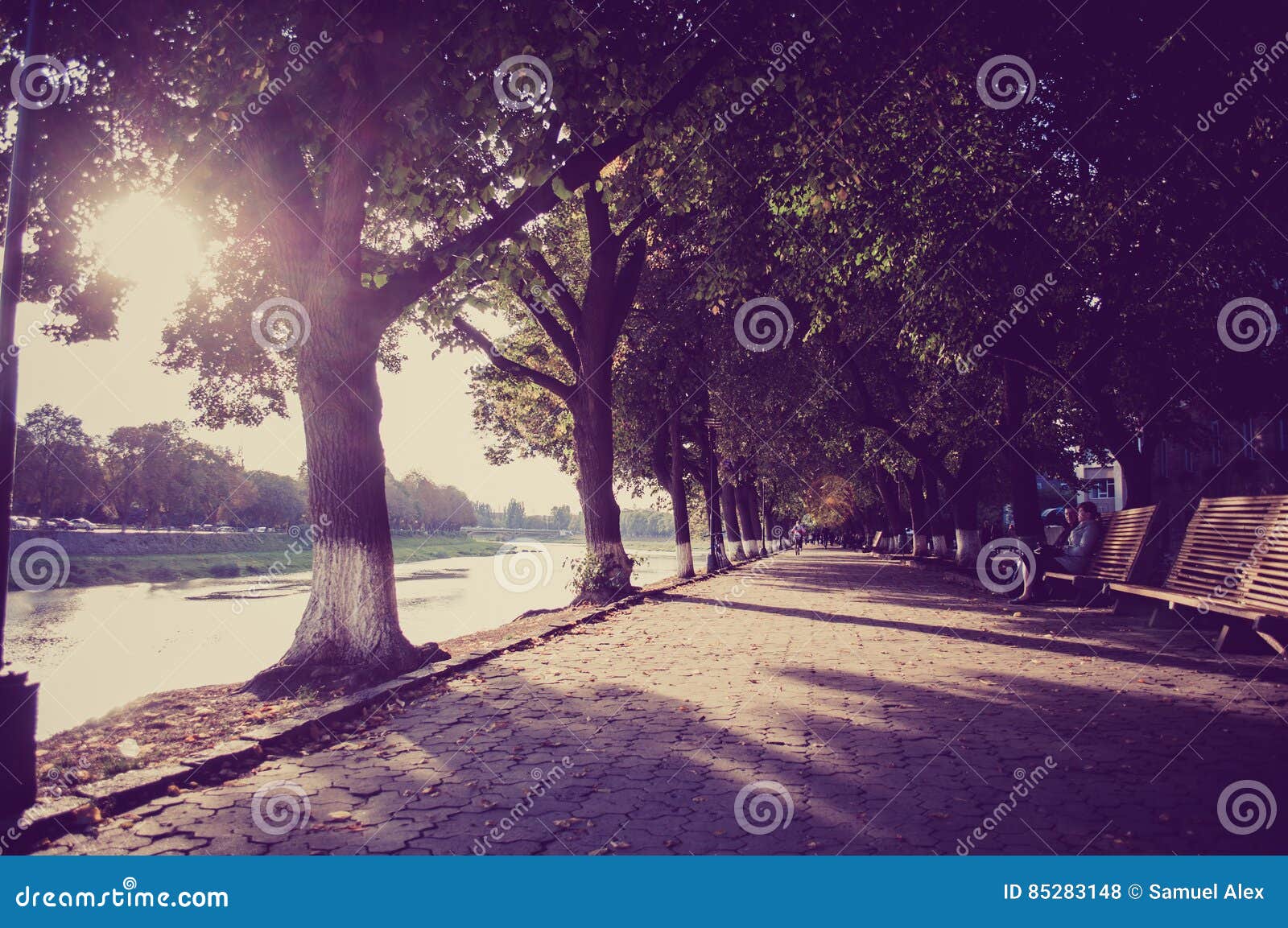 Beautiful Walkway Along the River Editorial Stock Photo - Image of ...
