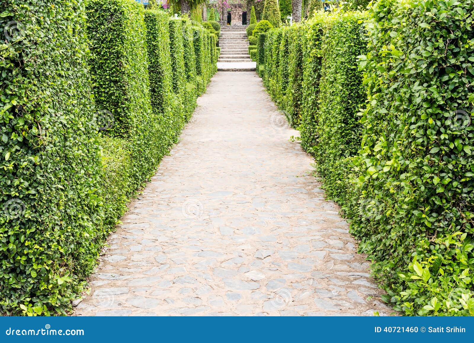 Beautiful walkway stock photo. Image of floral, foliage - 40721460
