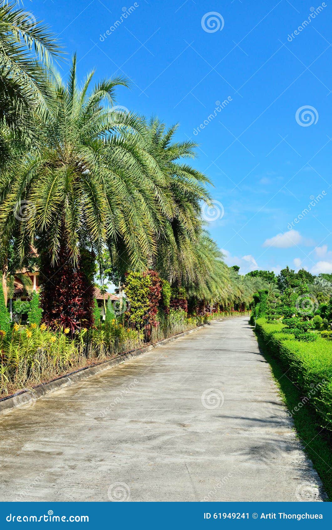 Beautiful Walkway at the Garden Stock Image - Image of tree, grass ...