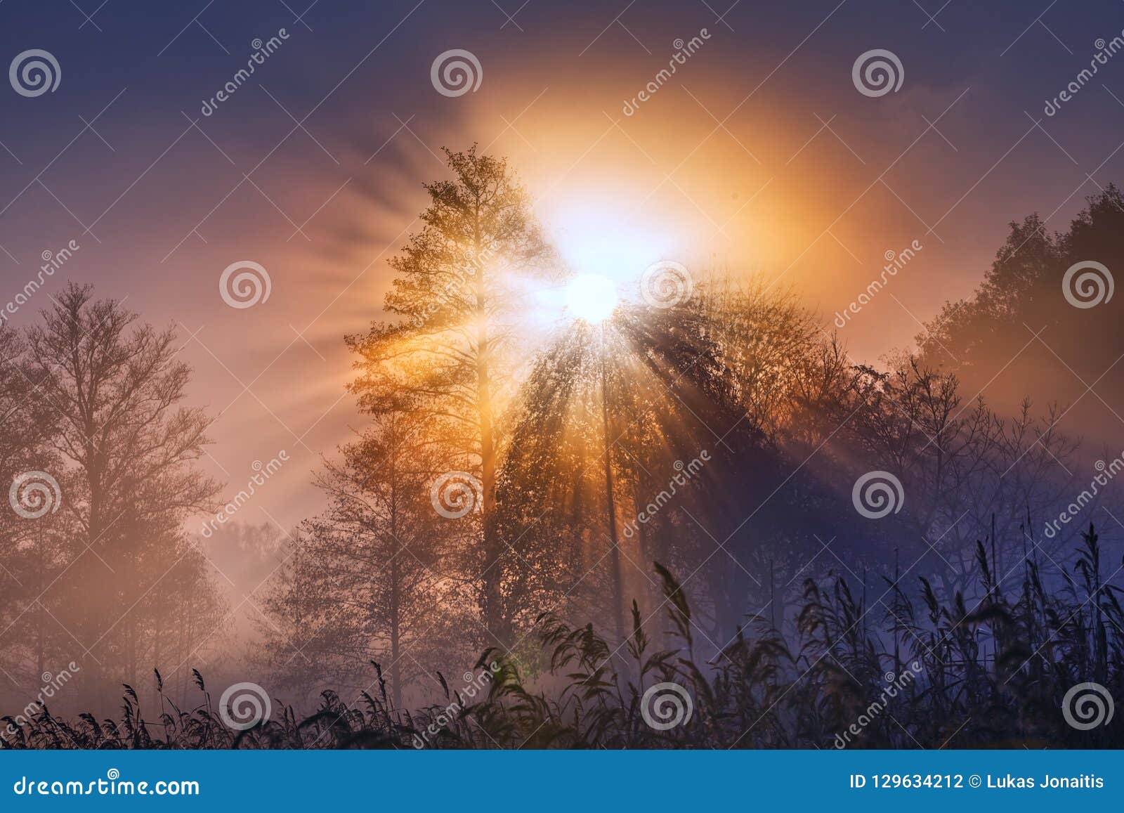 Beautiful Landscape with Sunrays in the Early Morning Stock Photo ...