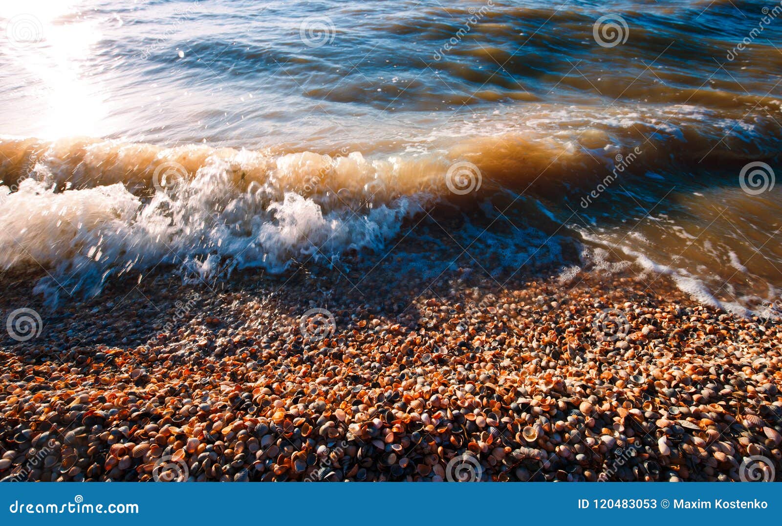 Beautiful Warm Sunset Light Over Shell Beach Stock Image - Image of ...