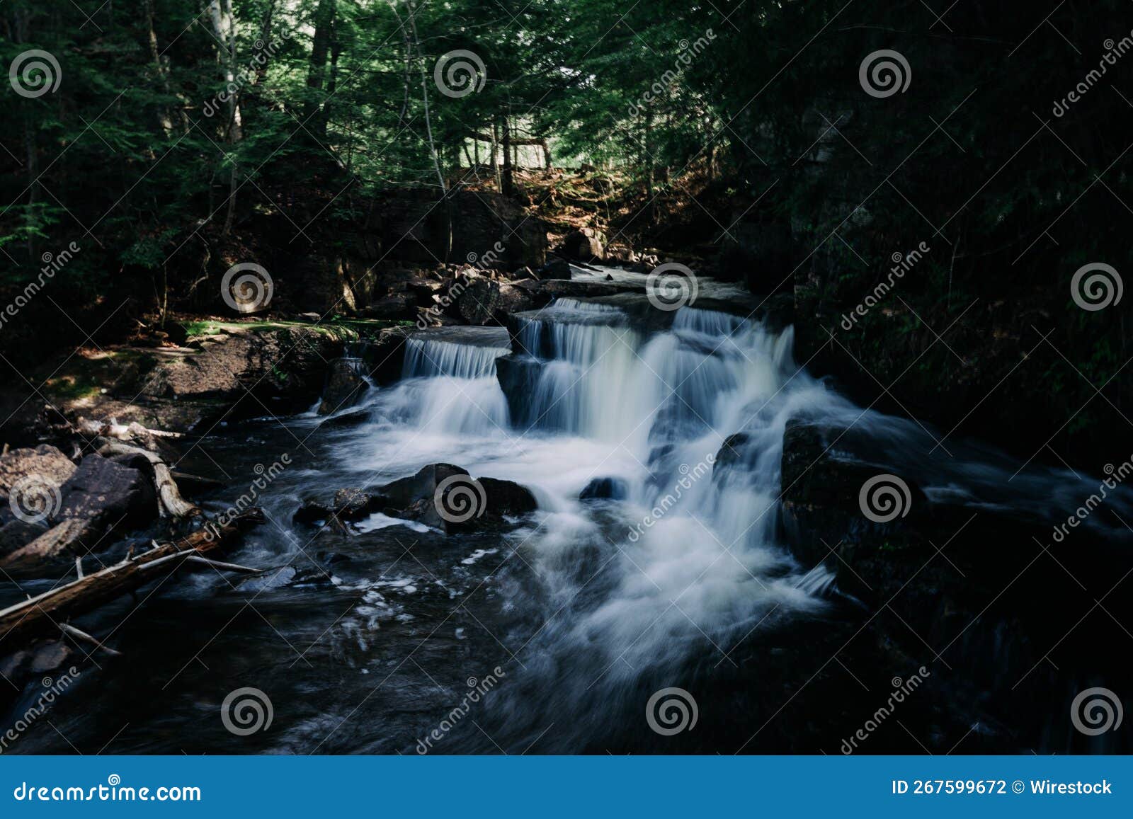 Beautiful Water Cascade Surrounded by Trees in a Forest Stock Photo ...