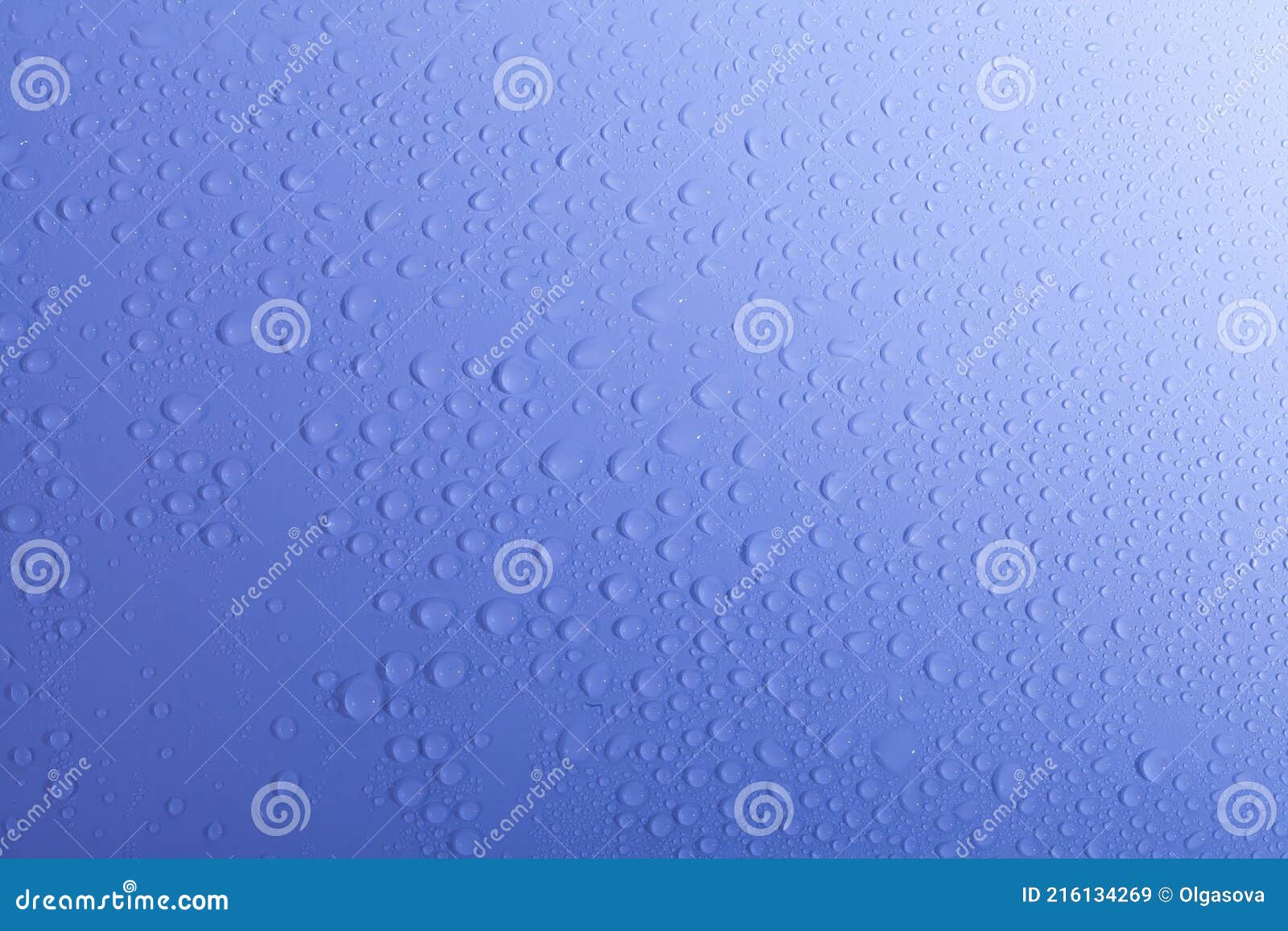 Beautiful Water Dew Drops on Blue Gradient Background, Stock Image ...