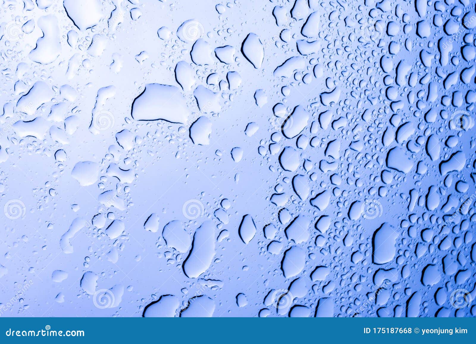 Beautiful Water Droplets on Blue Background Stock Photo - Image of ...