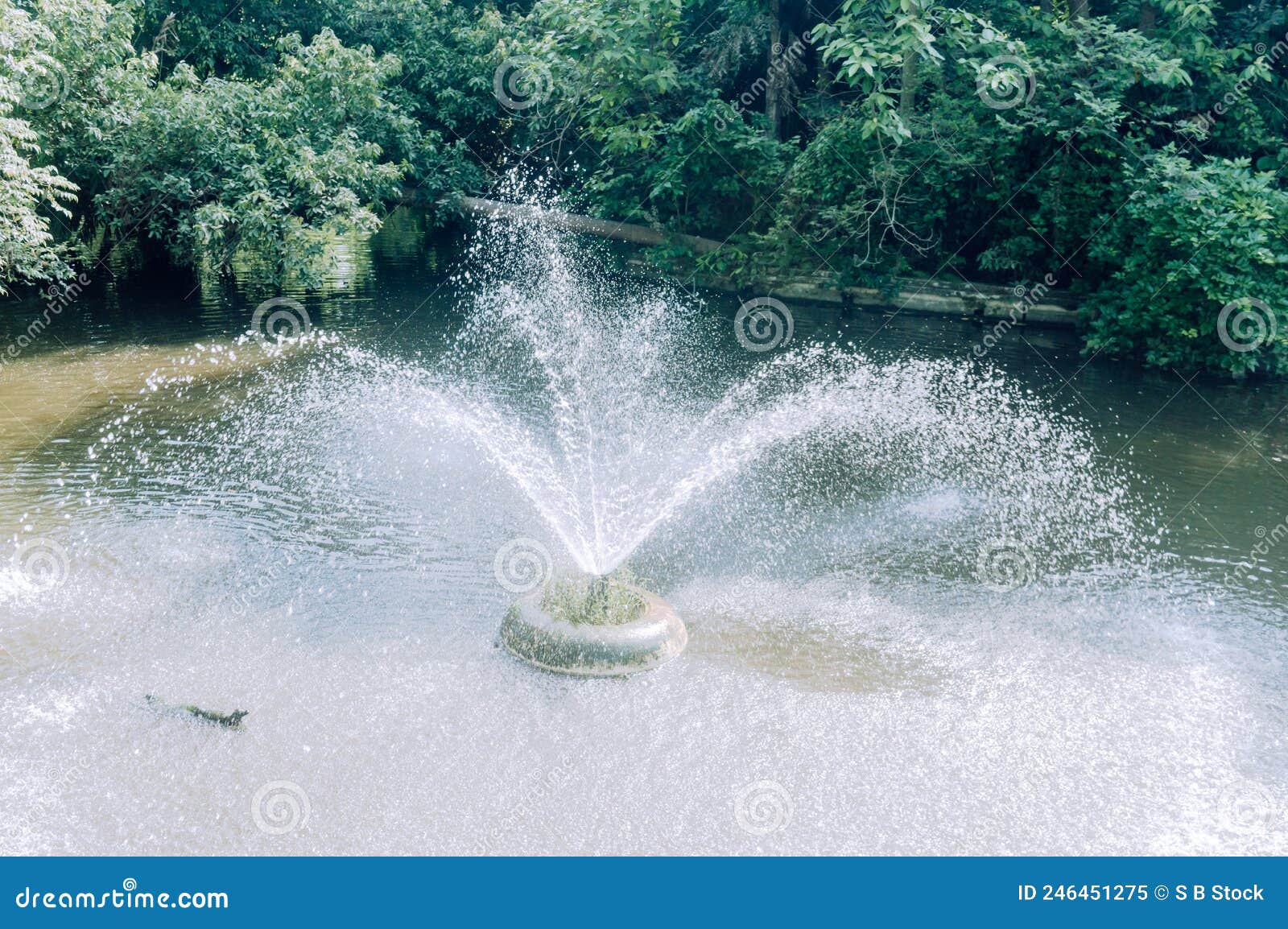A Beautiful Water Fountain in the Forest Stock Image - Image of scenery ...