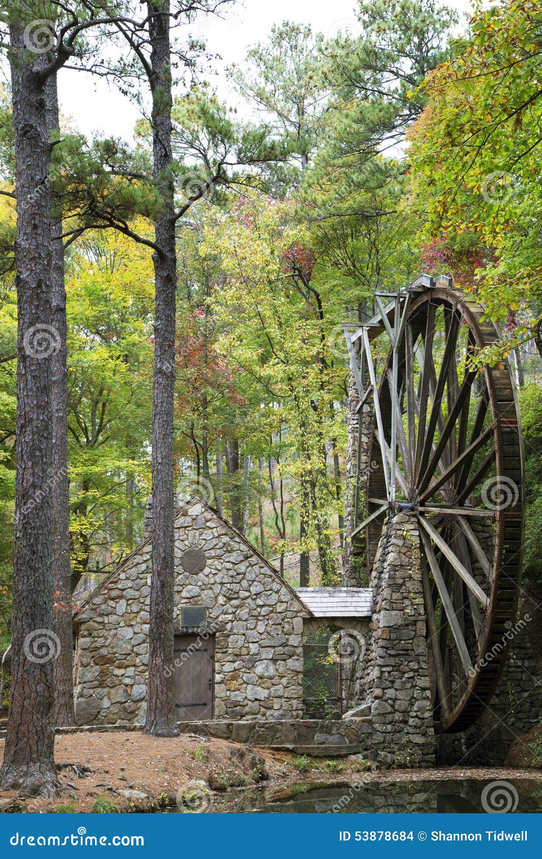 Beautiful Water Mill in the Trees Stock Photo - Image of leaves, branch ...