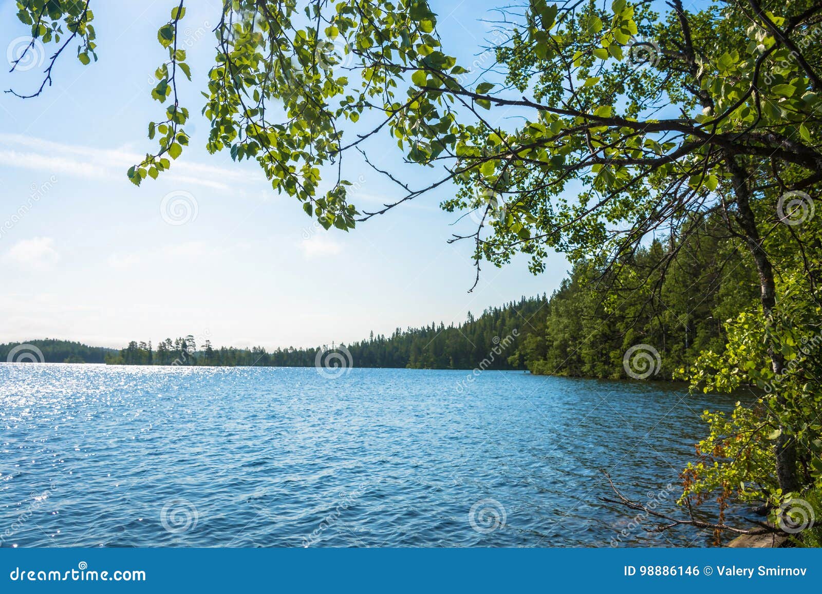 Beautiful Water Scenery in the Backlight. Stock Photo - Image of tree ...