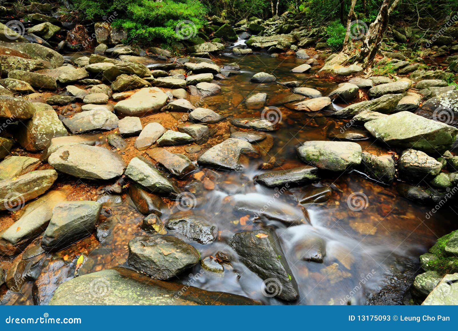 Beautiful water spring stock image. Image of fresh, environment - 13175093