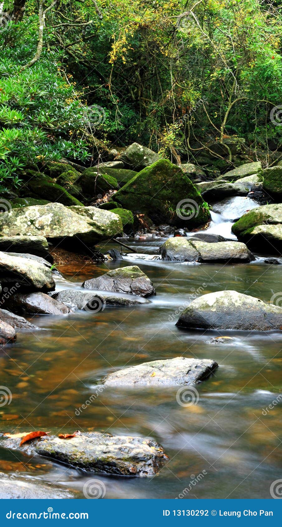 Beautiful Water Spring in Forest Stock Photo - Image of drink ...