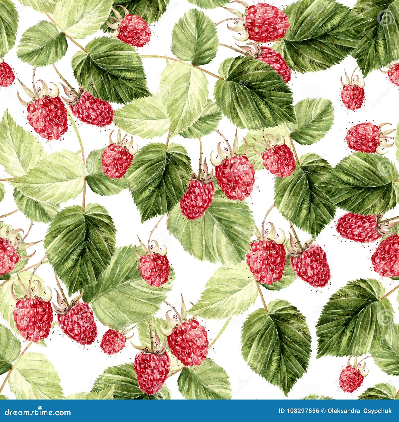 Beautiful Watercolor Raspberry Seamless Pattern. Stock Photo - Image of ...