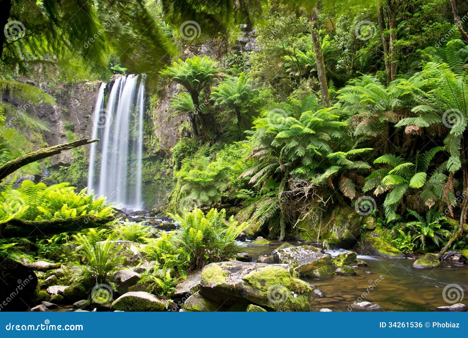 Beautiful Waterfall stock photo. Image of rocks, trees - 34261536