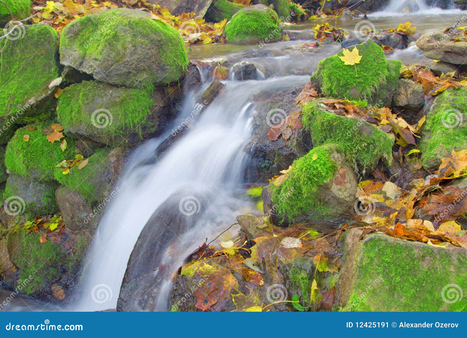 Beautiful Waterfall in Autumn Forest Stock Image - Image of recreation ...