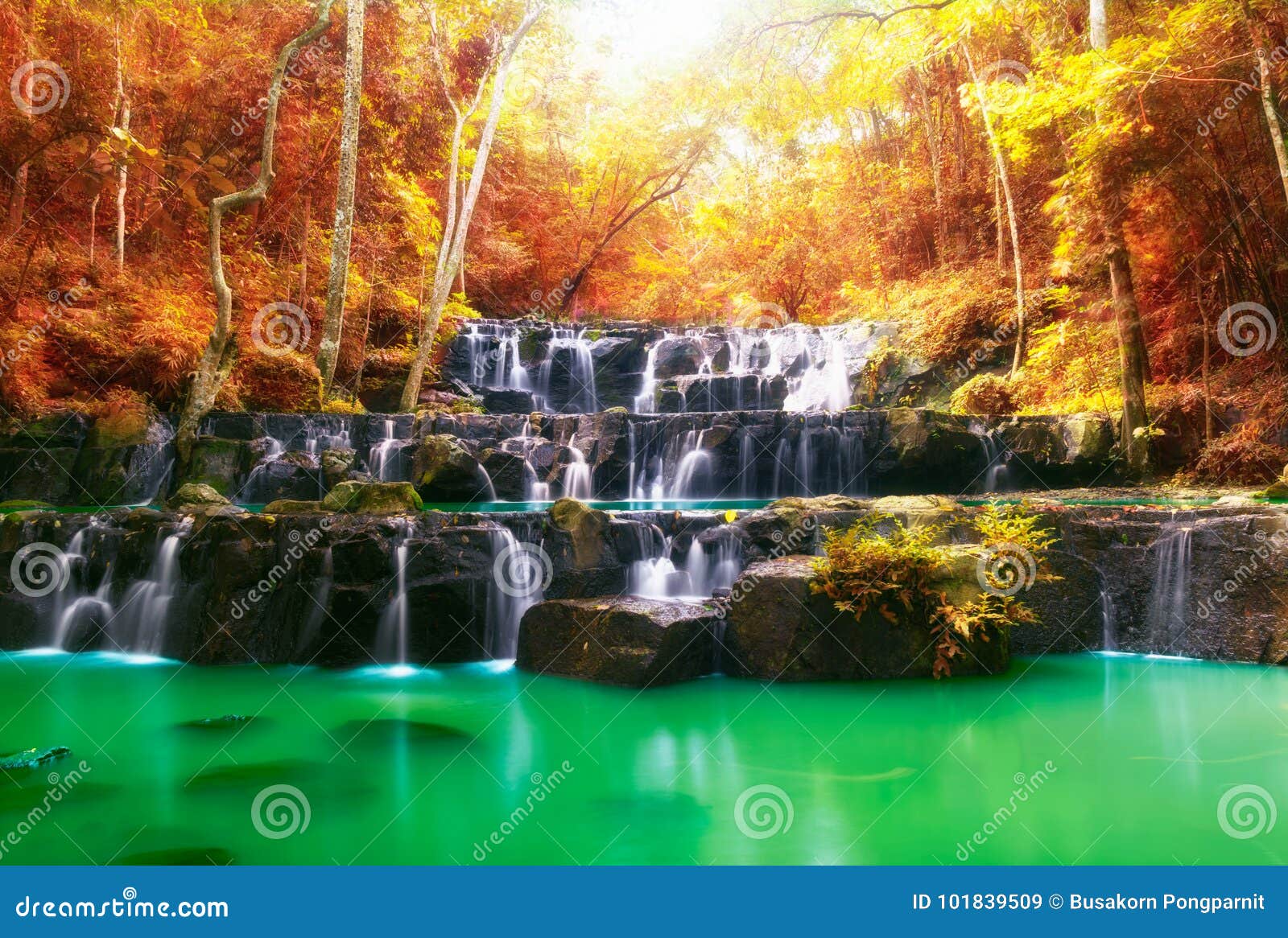 Beautiful Waterfall in Autumn, Rocks and Stones in Autumn Stock Image ...