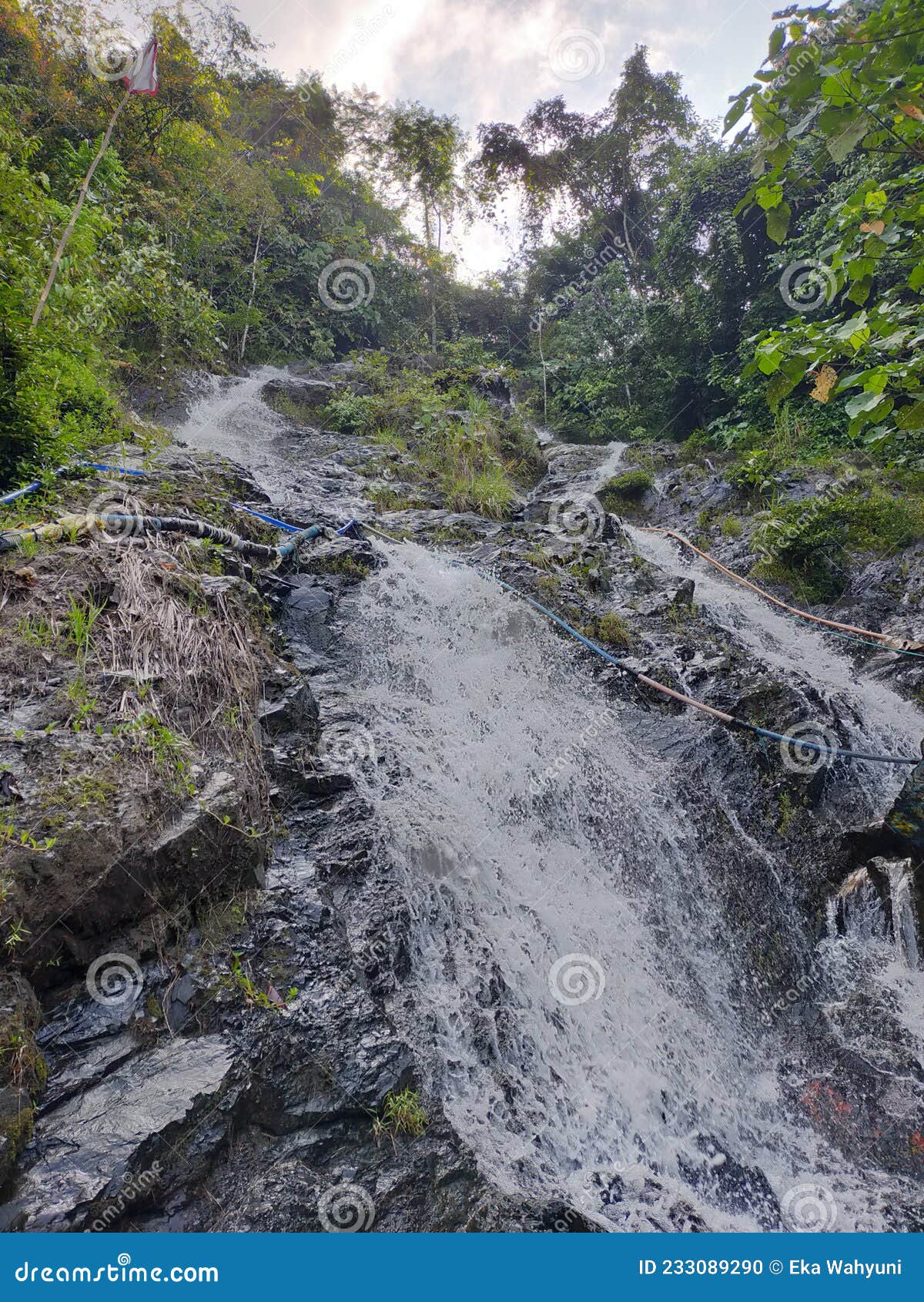 Beautiful Waterfall in Borneo Forest Stock Photo - Image of borneo ...