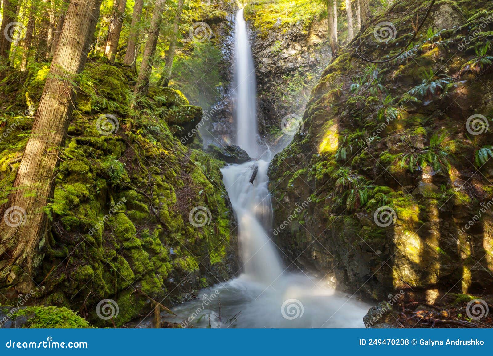 Waterfall in Canada stock photo. Image of cascade, environment - 249470208