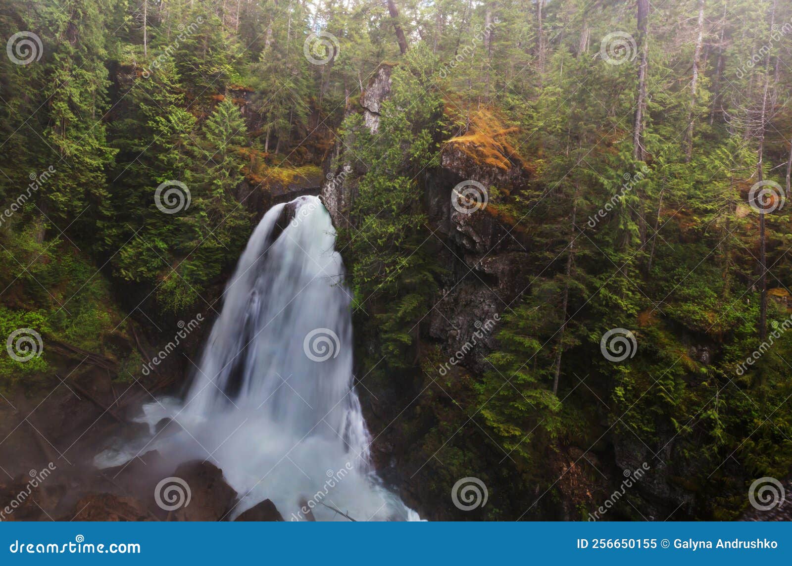 Waterfall in Canada stock image. Image of cascade, canada - 256650155