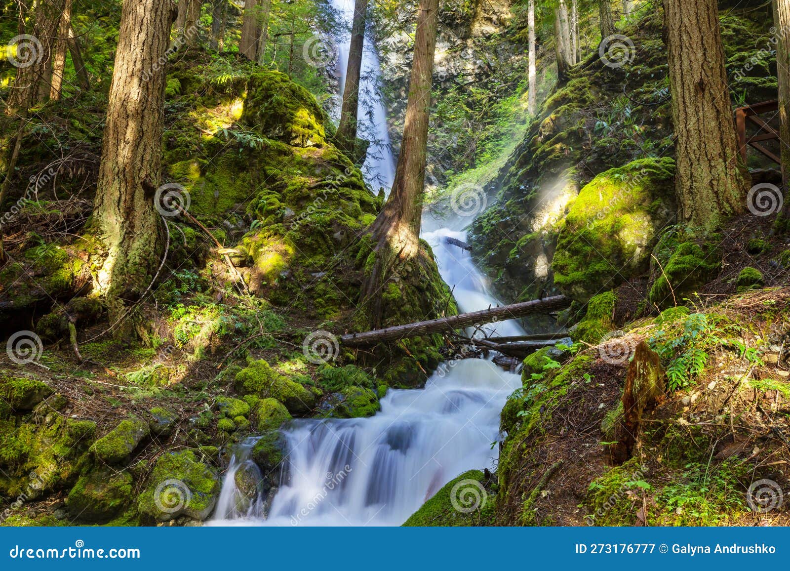 Waterfall in Canada stock image. Image of mountains - 273176777
