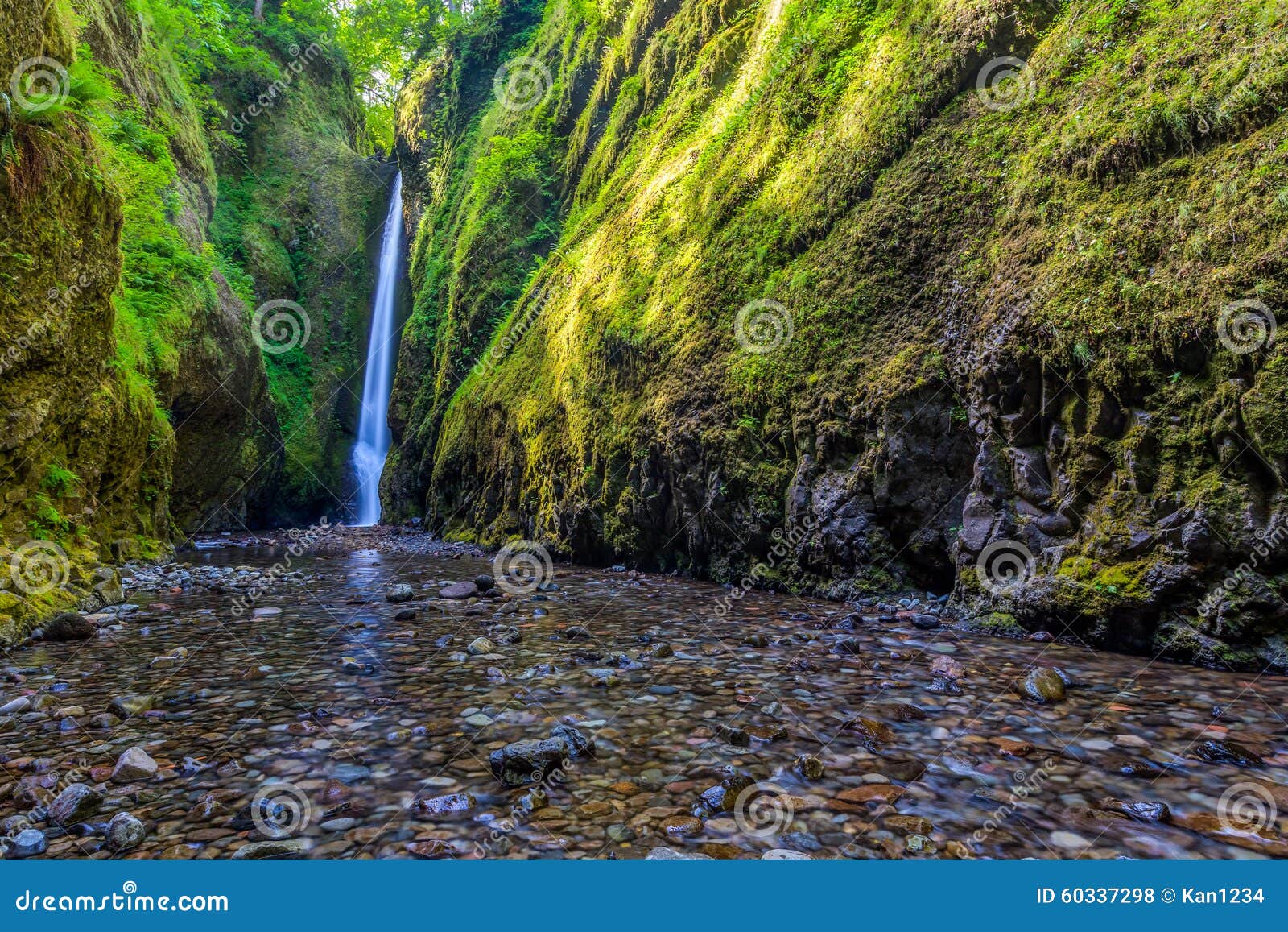 Beautiful Waterfall and Canyon in Oneonta Gorge Trail, Oregon. Stock ...