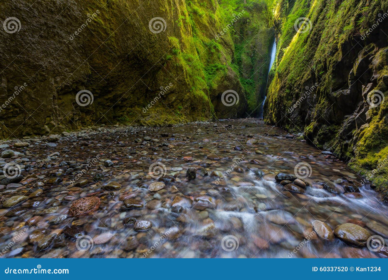 Beautiful Waterfall and Canyon in Oneonta Gorge Trail, Oregon. Stock ...