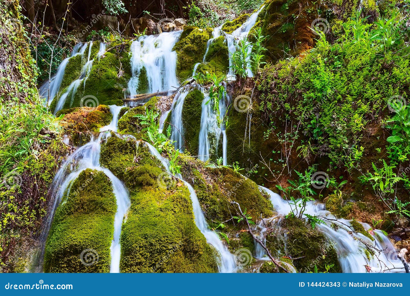 Beautiful Waterfall Cascade in the Forest Stock Image - Image of moss ...