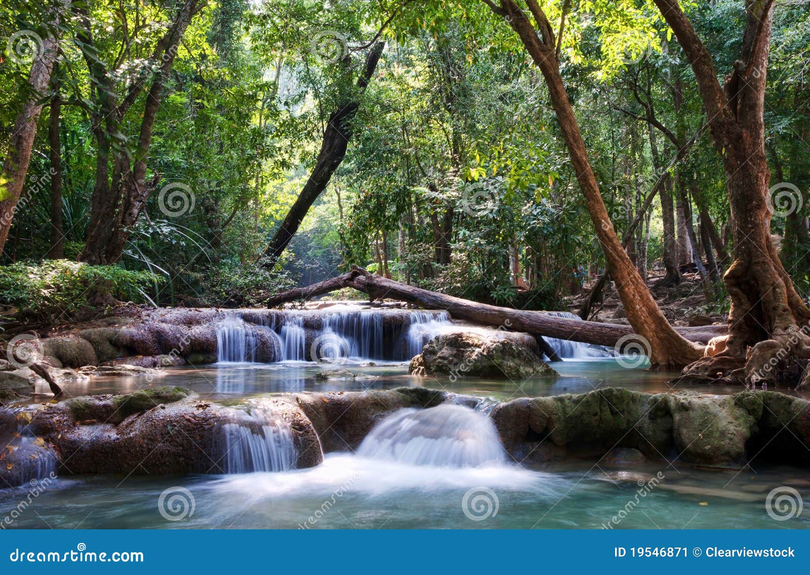 Beautiful Waterfall Cascades Stock Image - Image of clean, forest: 19546871